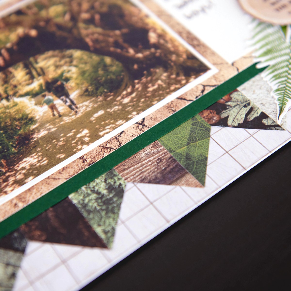Grid the Great Outdoors With This Forest Scrapbook Layout – The Pages