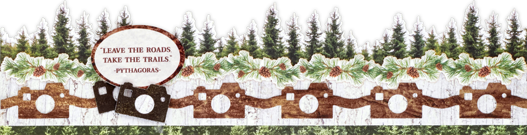 Make Your Photo Ops Pop: Camera Border Ideas and Scrapbooking Card ...