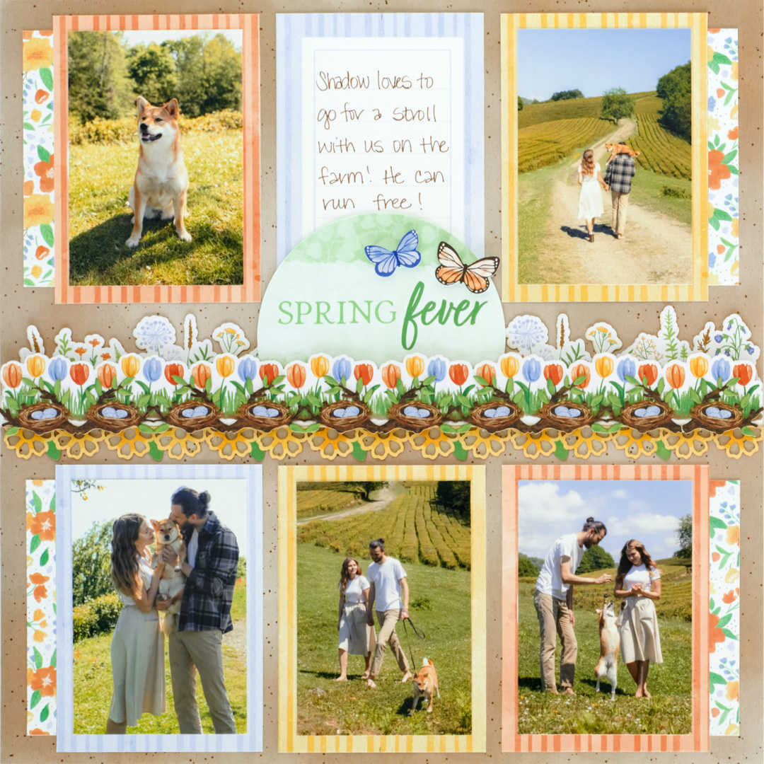 BirdsBlossoms_Layout1_1080x1080